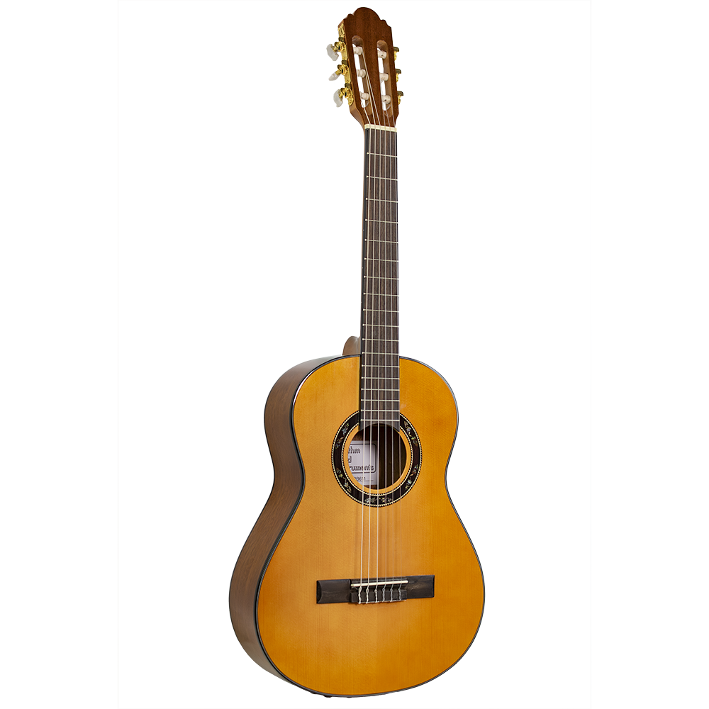 Student Guitars